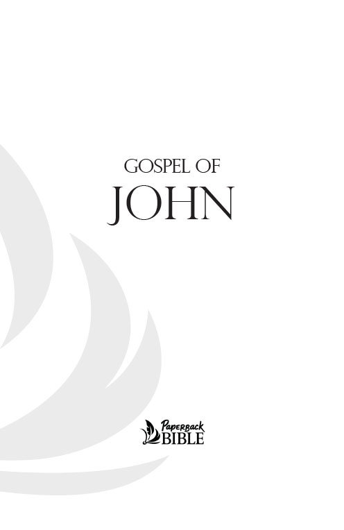 Paperback Bible